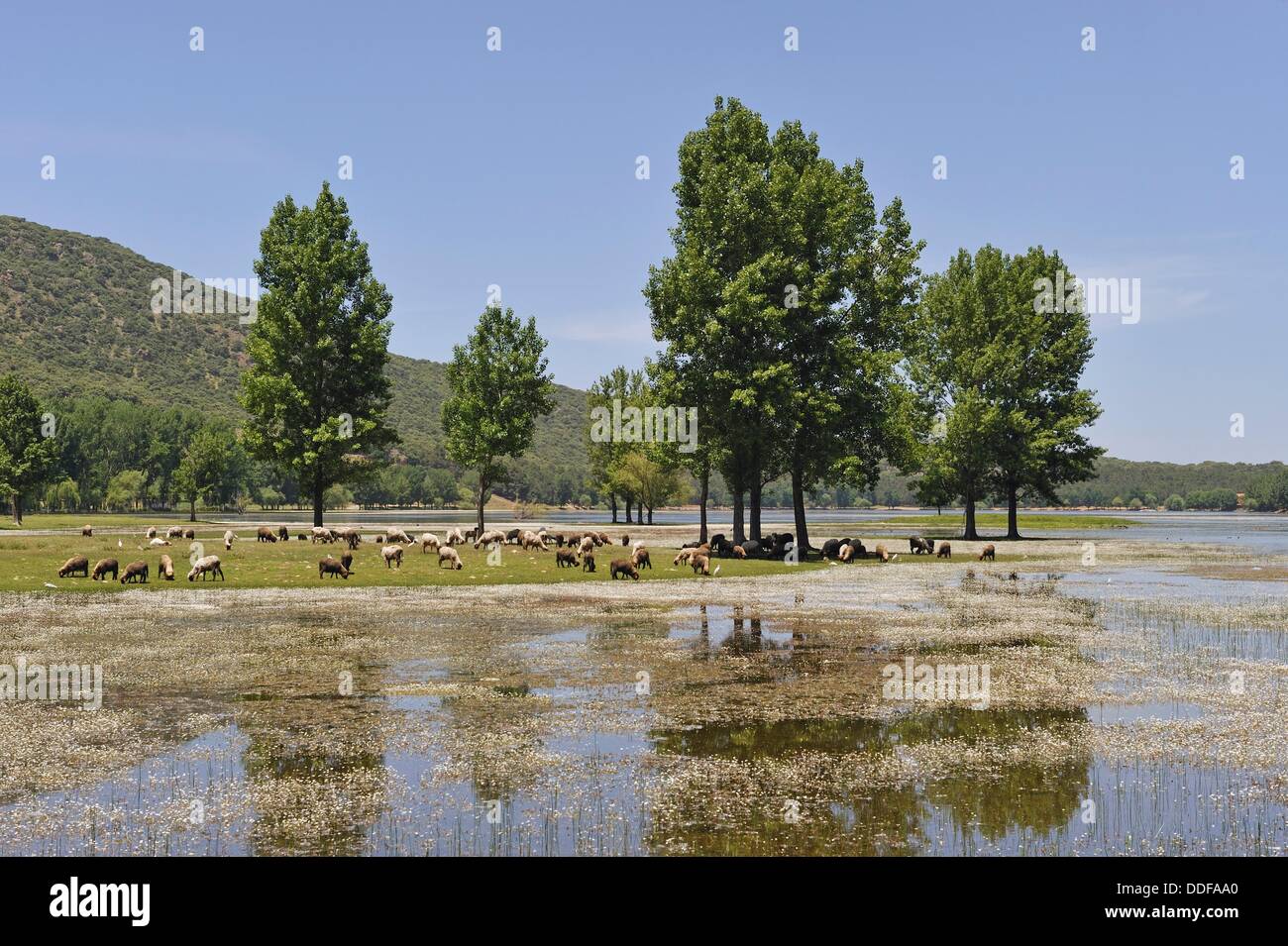 Lake aoua morocco hi-res stock photography and images - Alamy