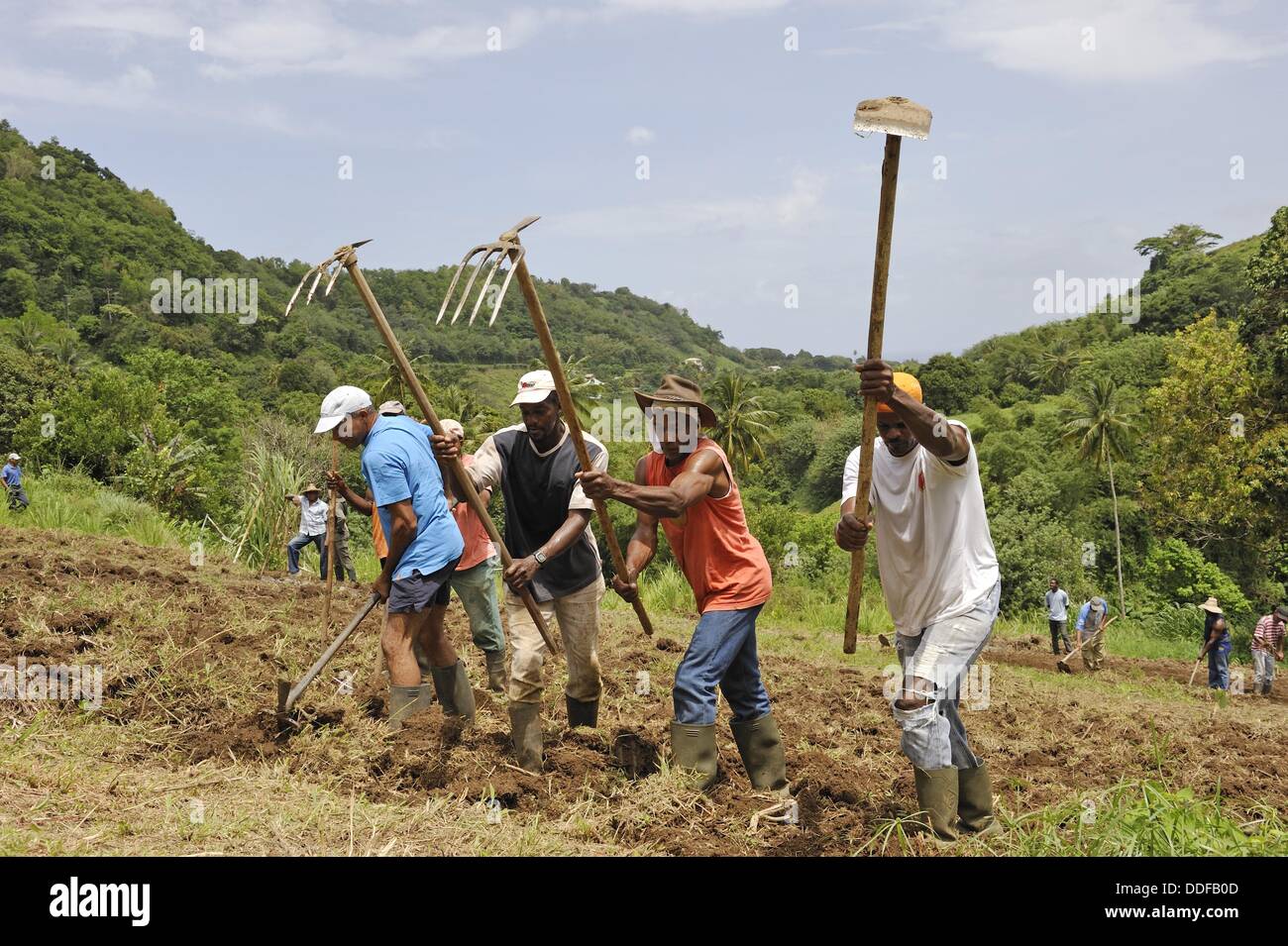 Creole language hi-res stock photography and images - Alamy