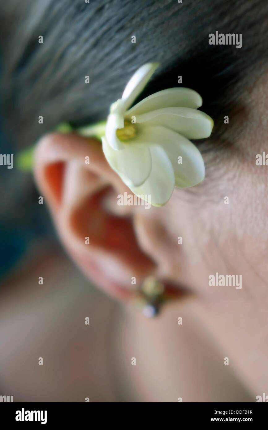 Tiare Tahiti High Resolution Stock Photography and Images - Alamy