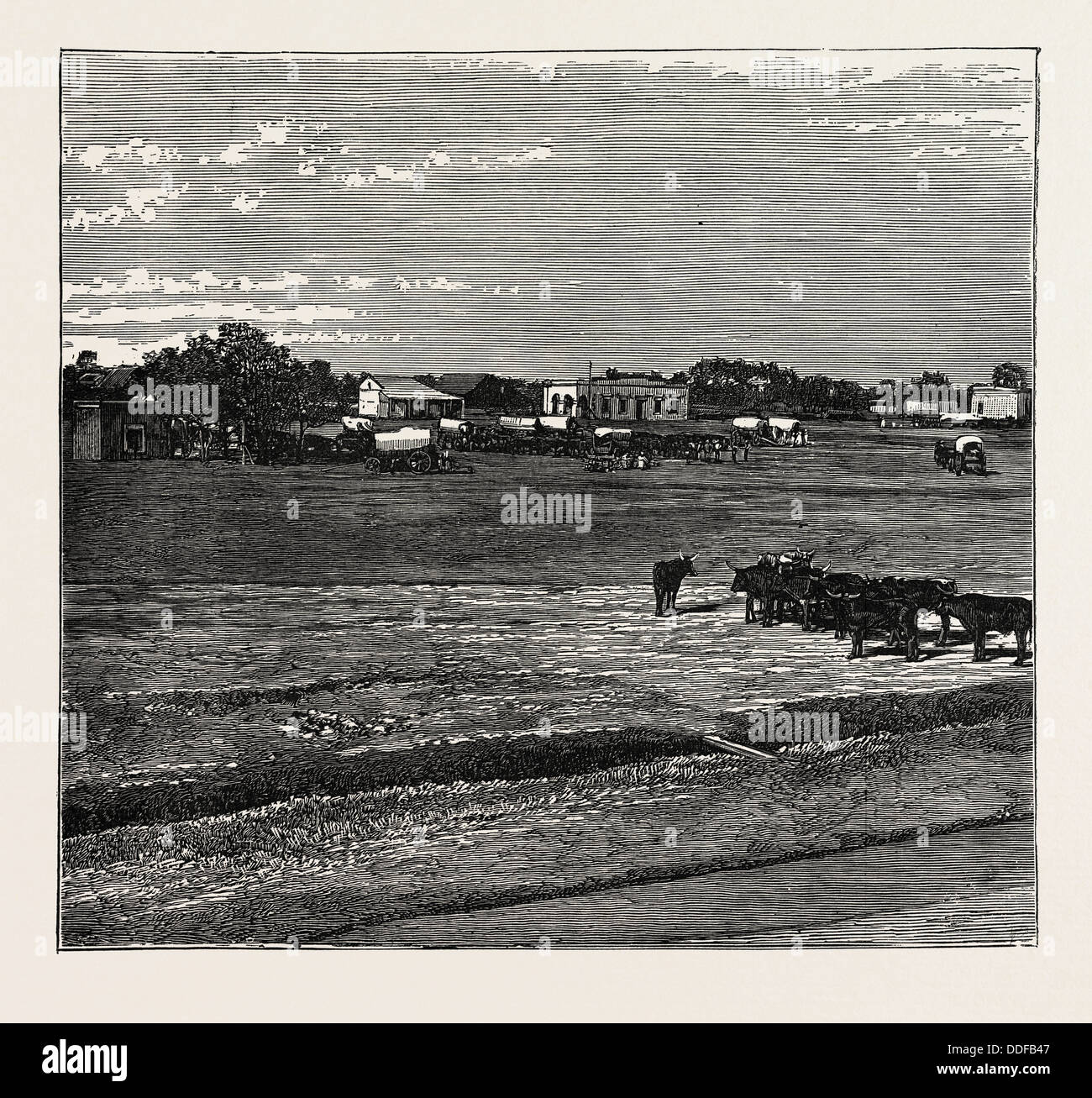 In the transvaal hi-res stock photography and images - Alamy