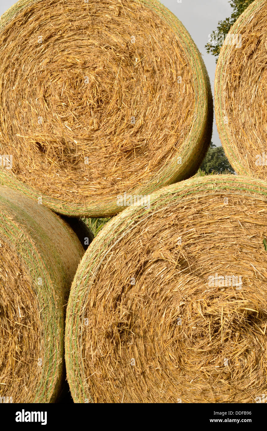 Rolls of hay Stock Photo - Alamy
