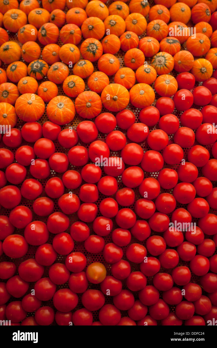 Pumpkin and tomato,close-up Stock Photo - Alamy