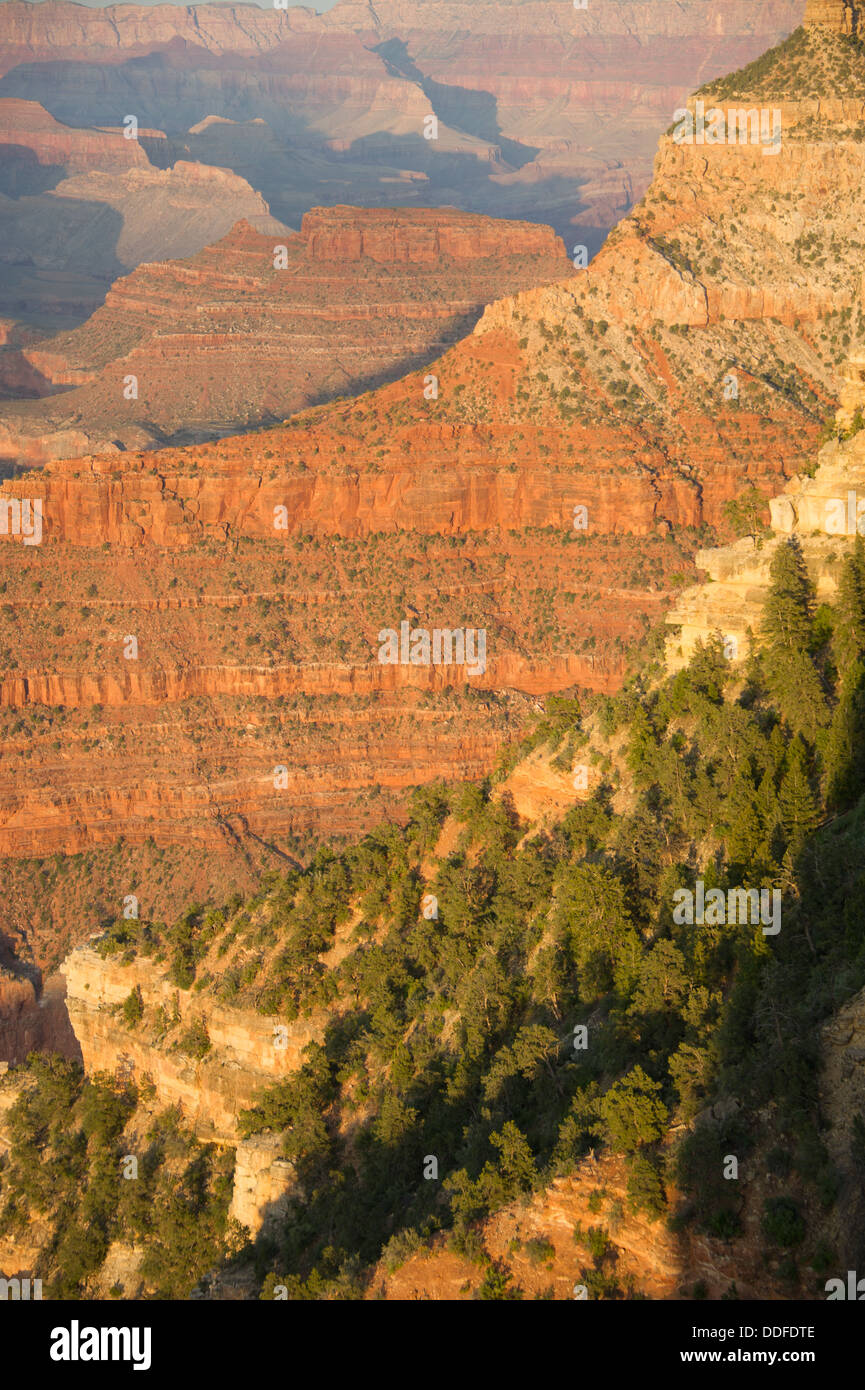 Sedona Arizona Plateaus and Tree-covered Mountains Stock Photo - Alamy