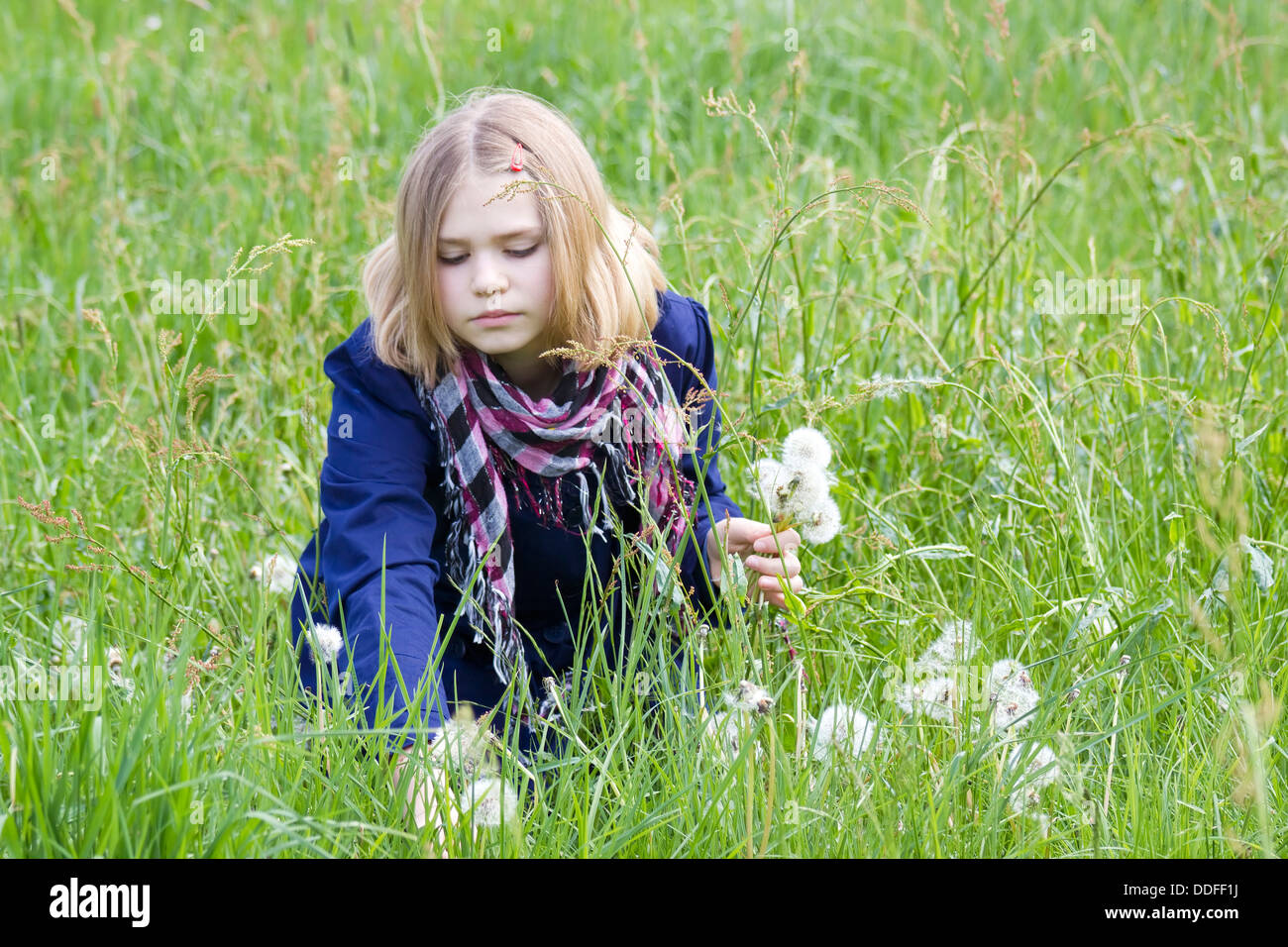 little girl on the meadow in spring day Stock Photo - Alamy