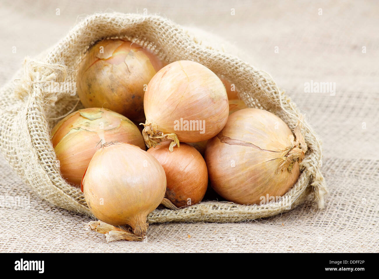 Fresh onions in package Stock Photo - Alamy