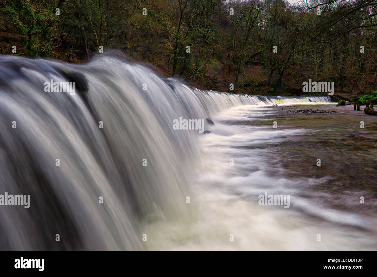 Plymbridge hi-res stock photography and images - Alamy