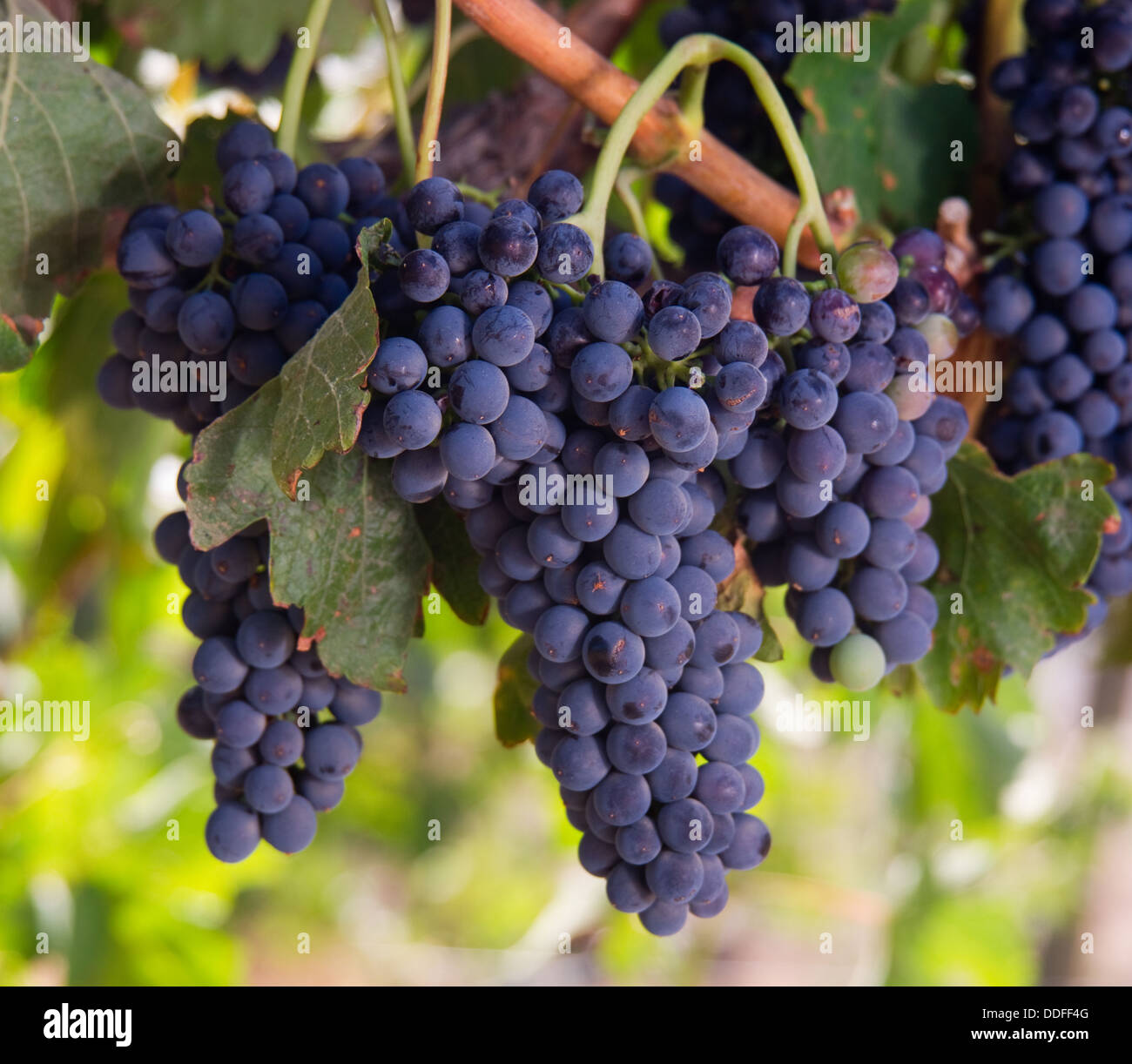 Square clusters hi-res stock photography and images - Alamy