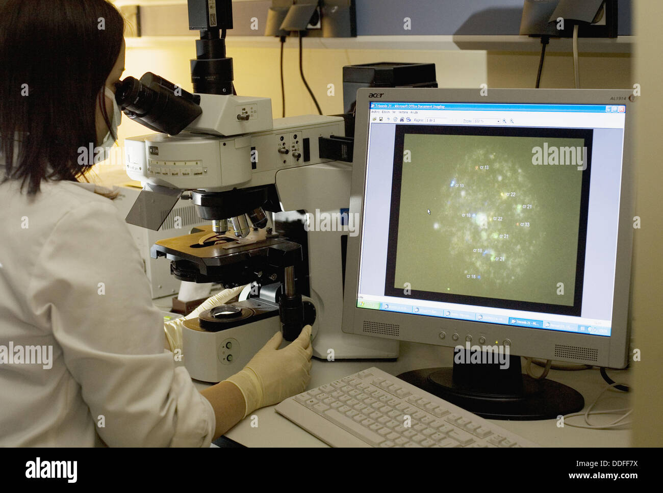 Down syndrome female at work hi-res stock photography and images - Alamy