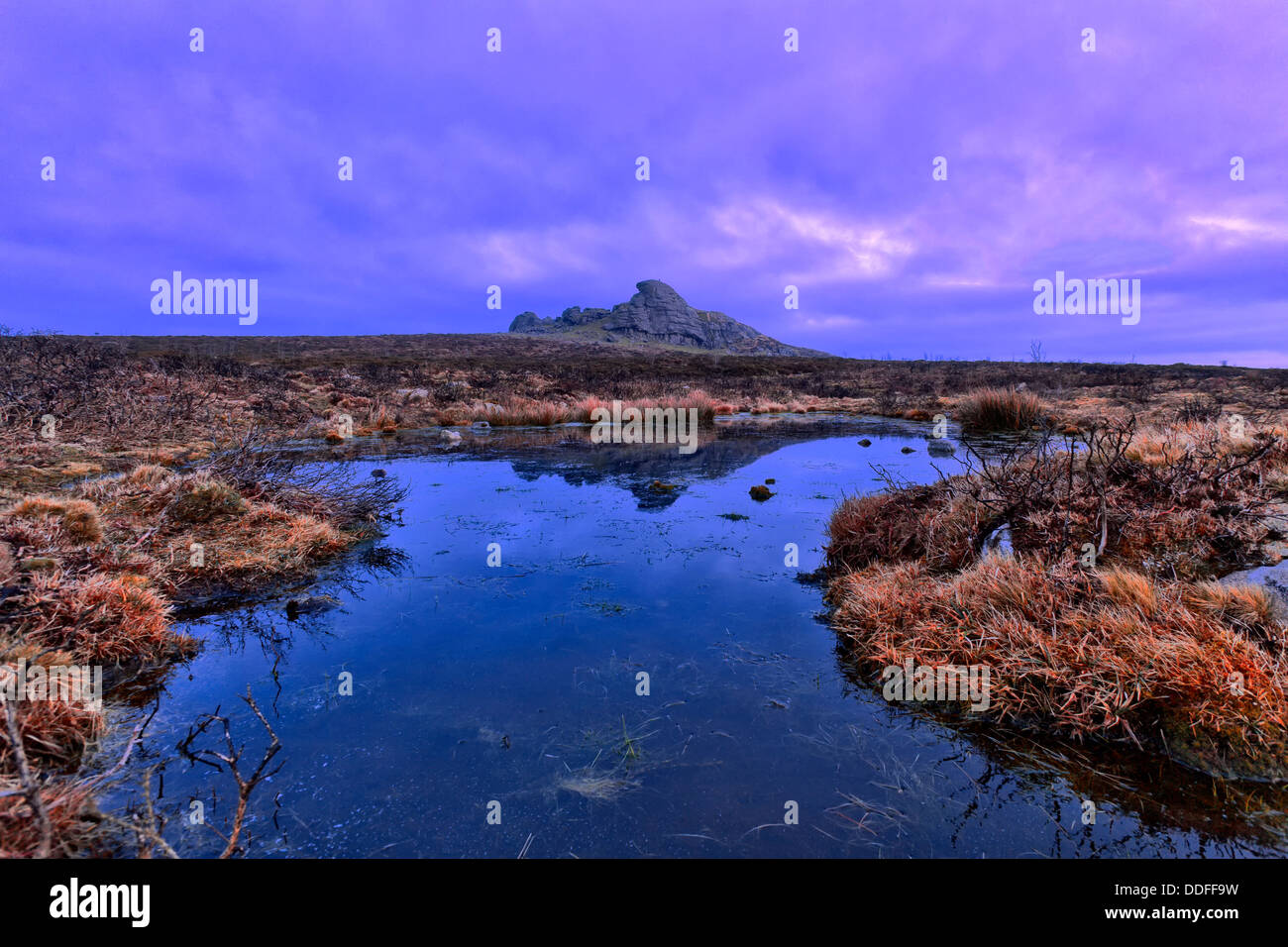Haytor, Dartmoor National Park Stock Photo - Alamy