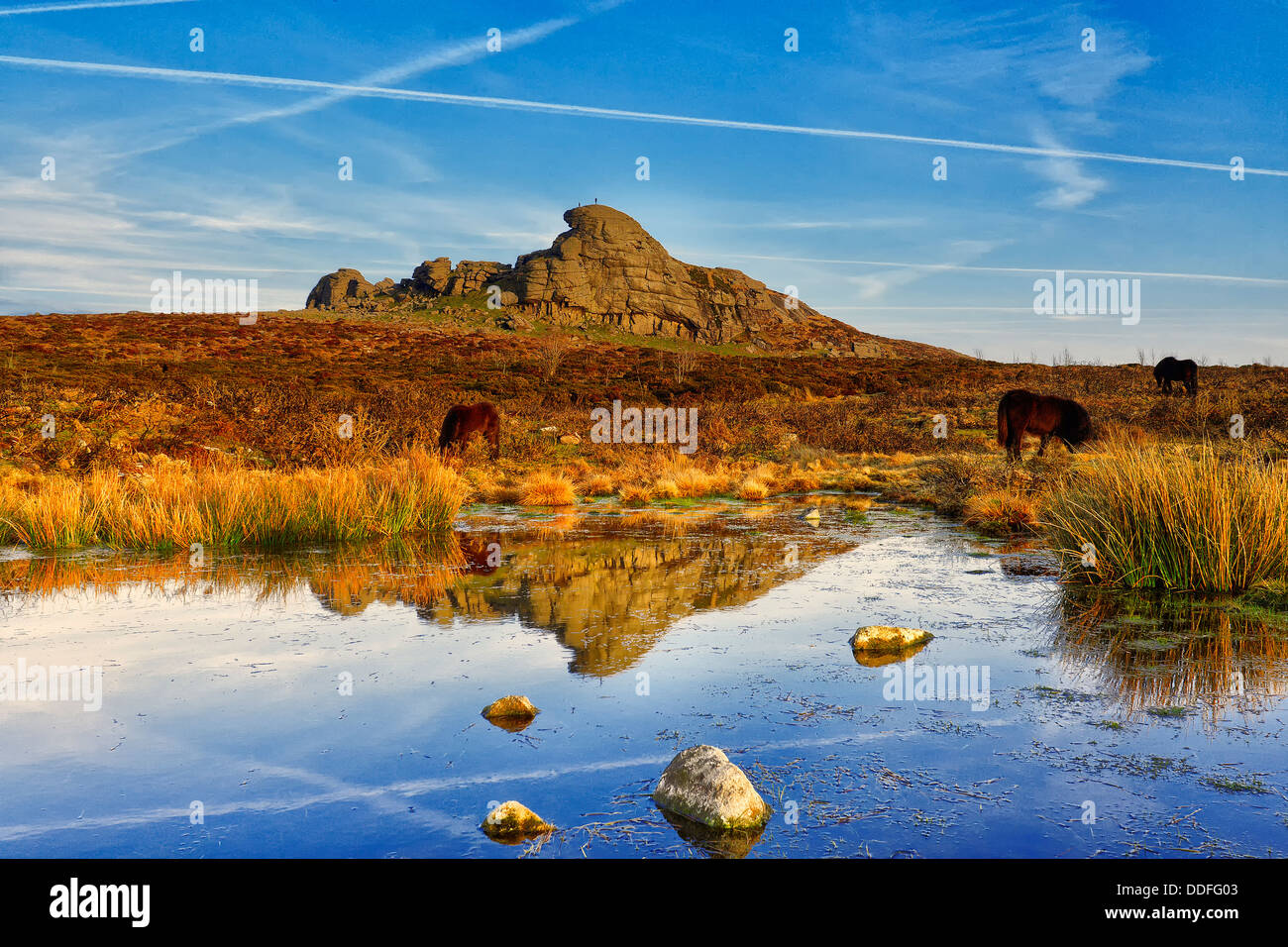 Haytor, Dartmoor National Park Stock Photo - Alamy