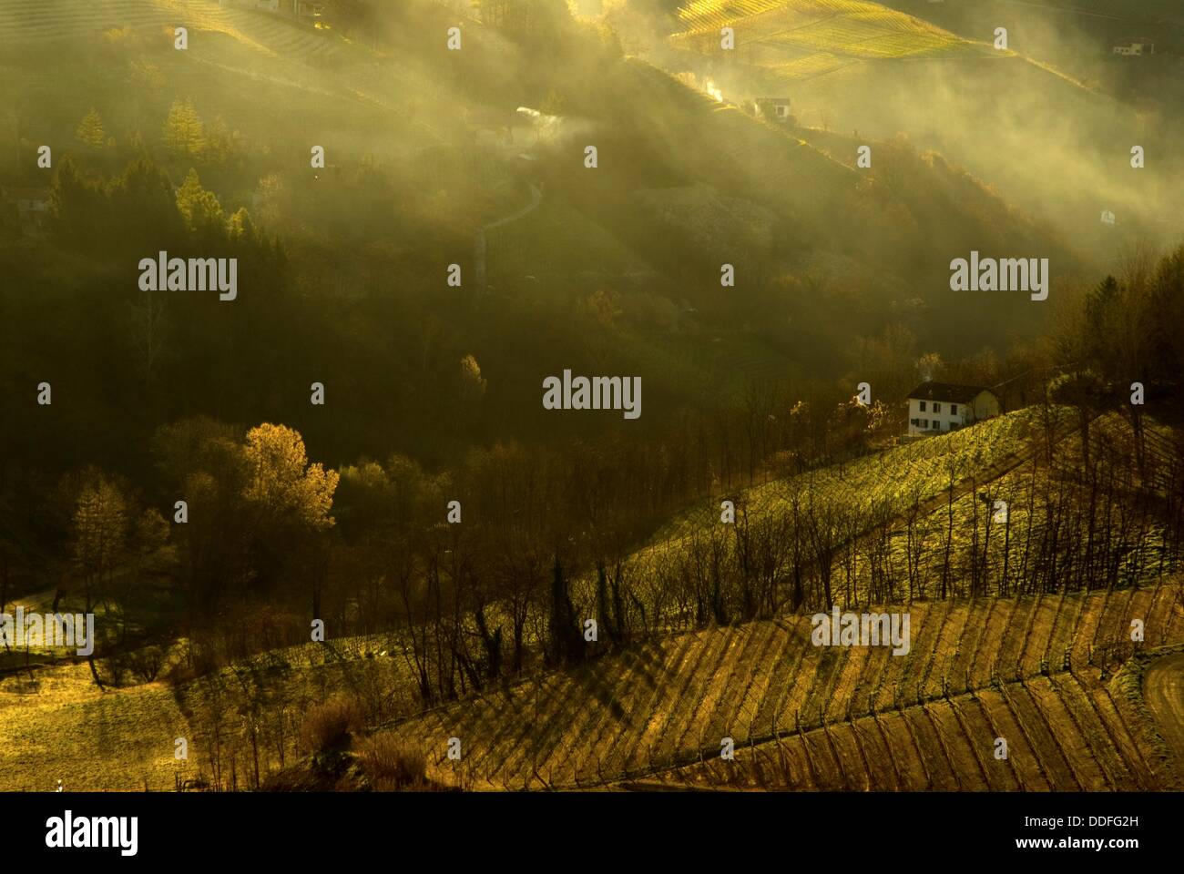 Montferrat hi-res stock photography and images - Alamy