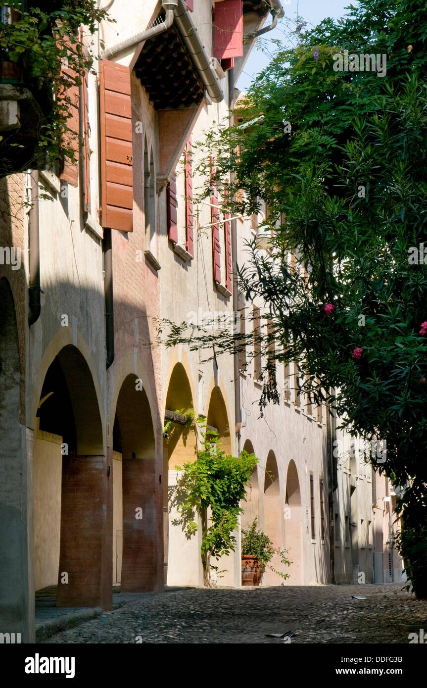 Vicolo dotti hi-res stock photography and images - Alamy