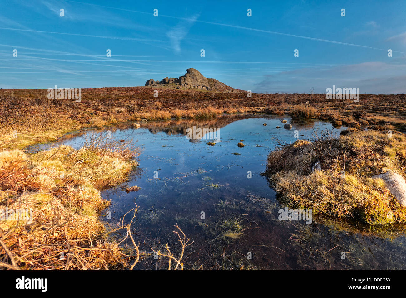 Haytor, Dartmoor National Park Stock Photo - Alamy
