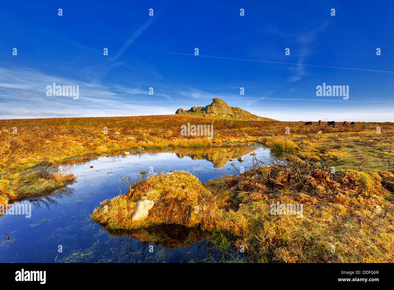 Haytor, Dartmoor National Park Stock Photo - Alamy