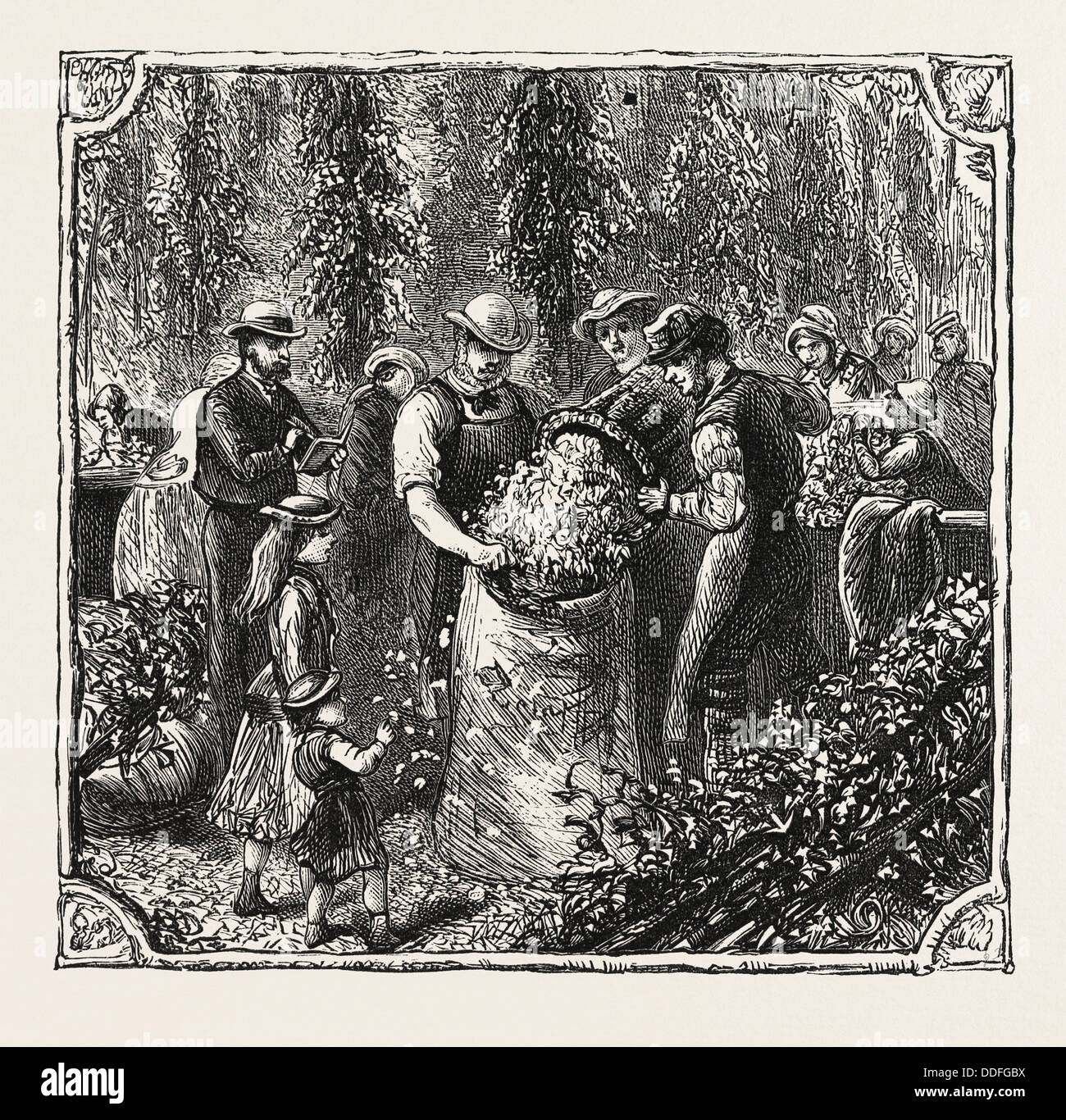 Hop pickers hi-res stock photography and images - Alamy