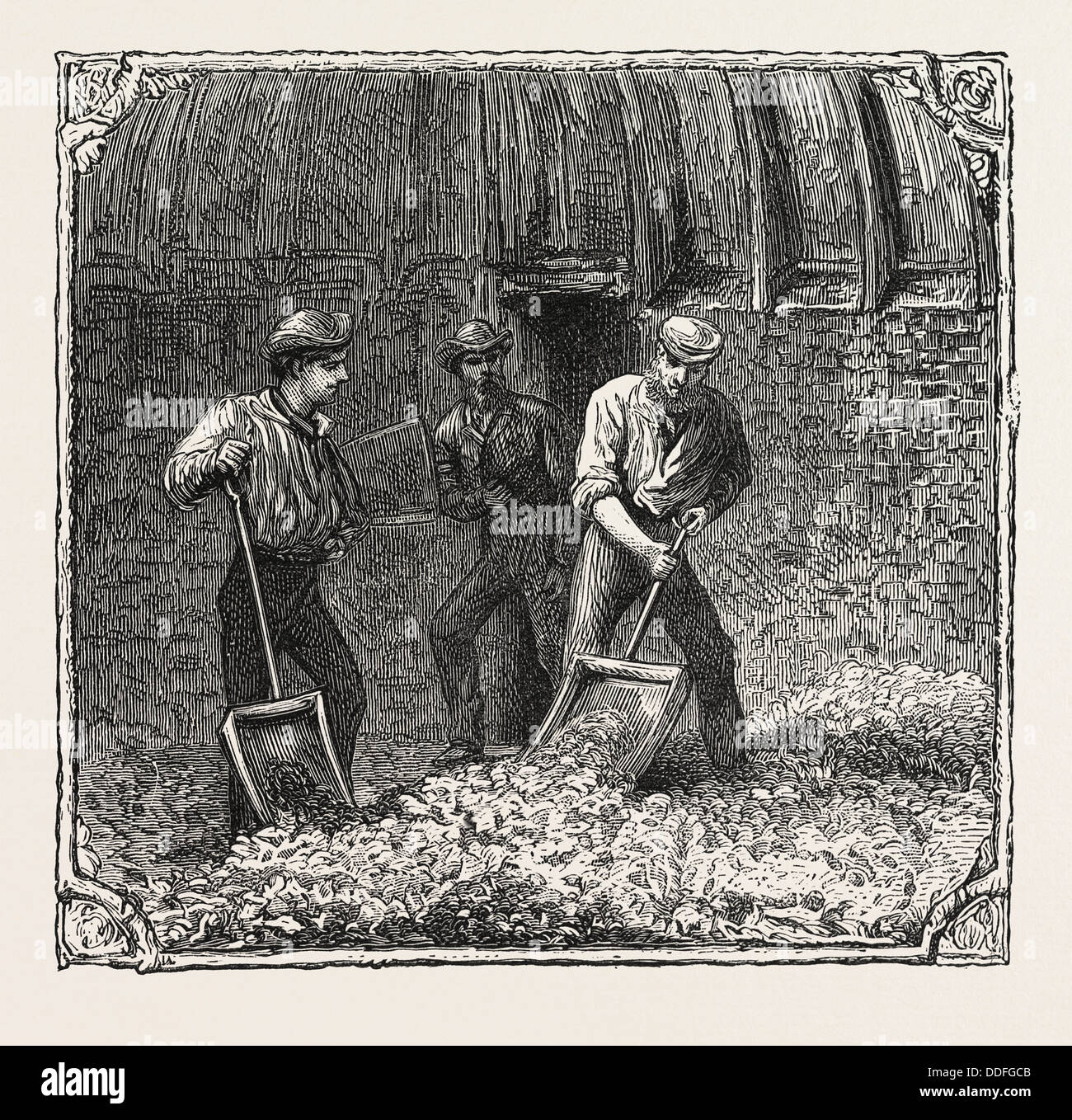 Hop pickers hi-res stock photography and images - Alamy