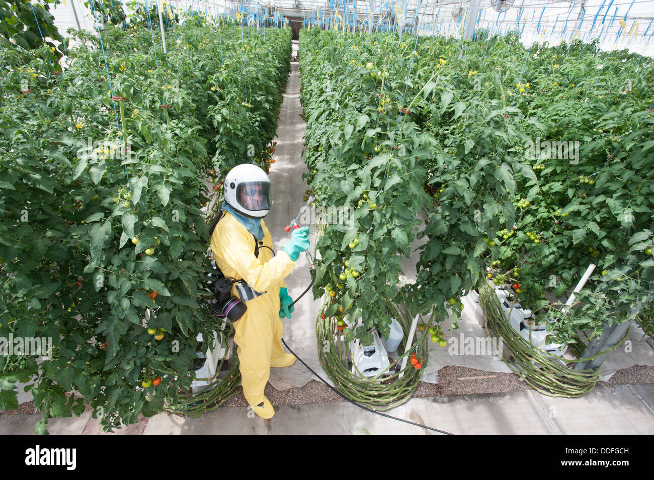 Spraying hi-res stock photography and images - Alamy