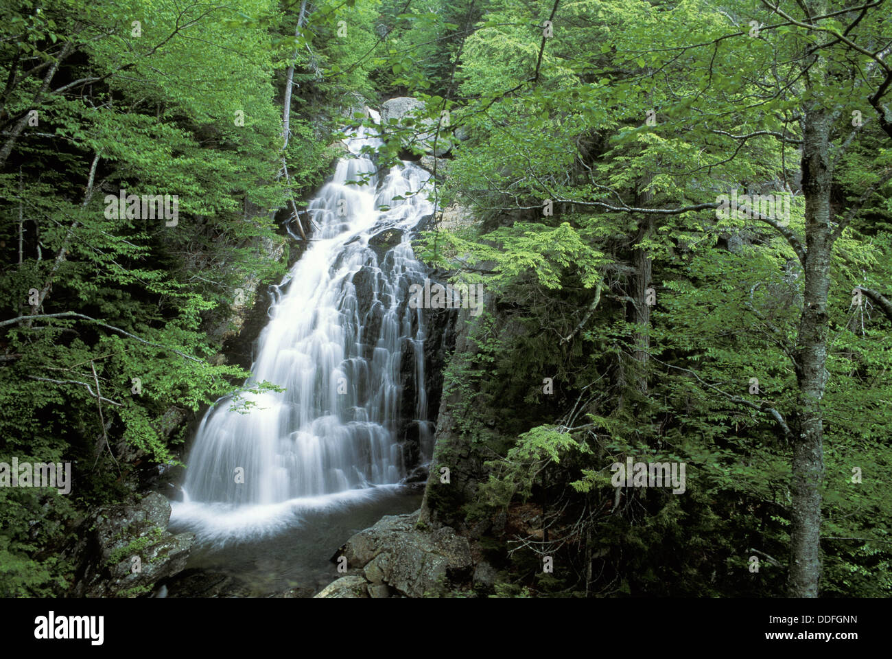 Crystal cascade pinkham notch white hi-res stock photography and images ...