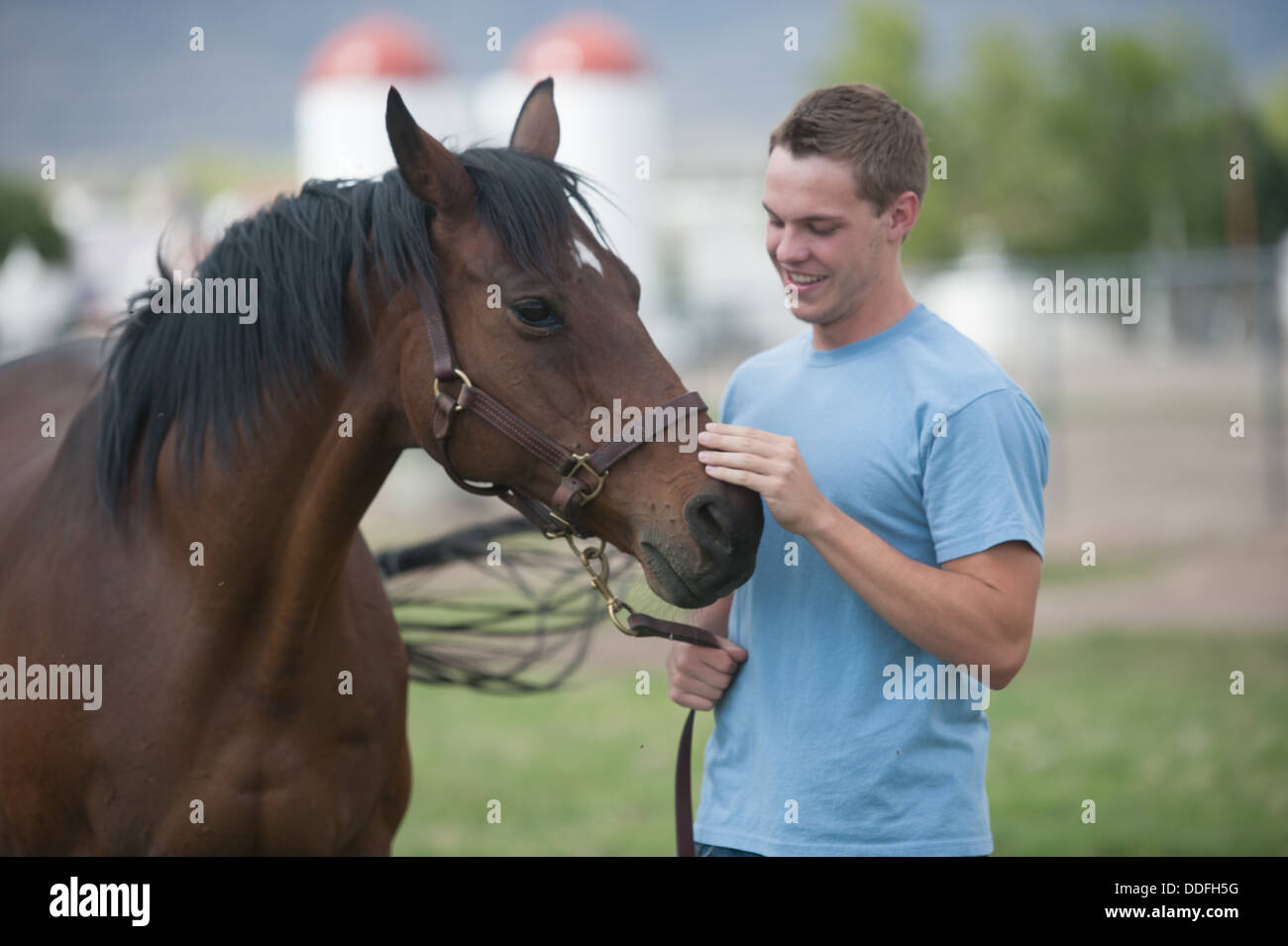 Equine vet student hi-res stock photography and images - Alamy
