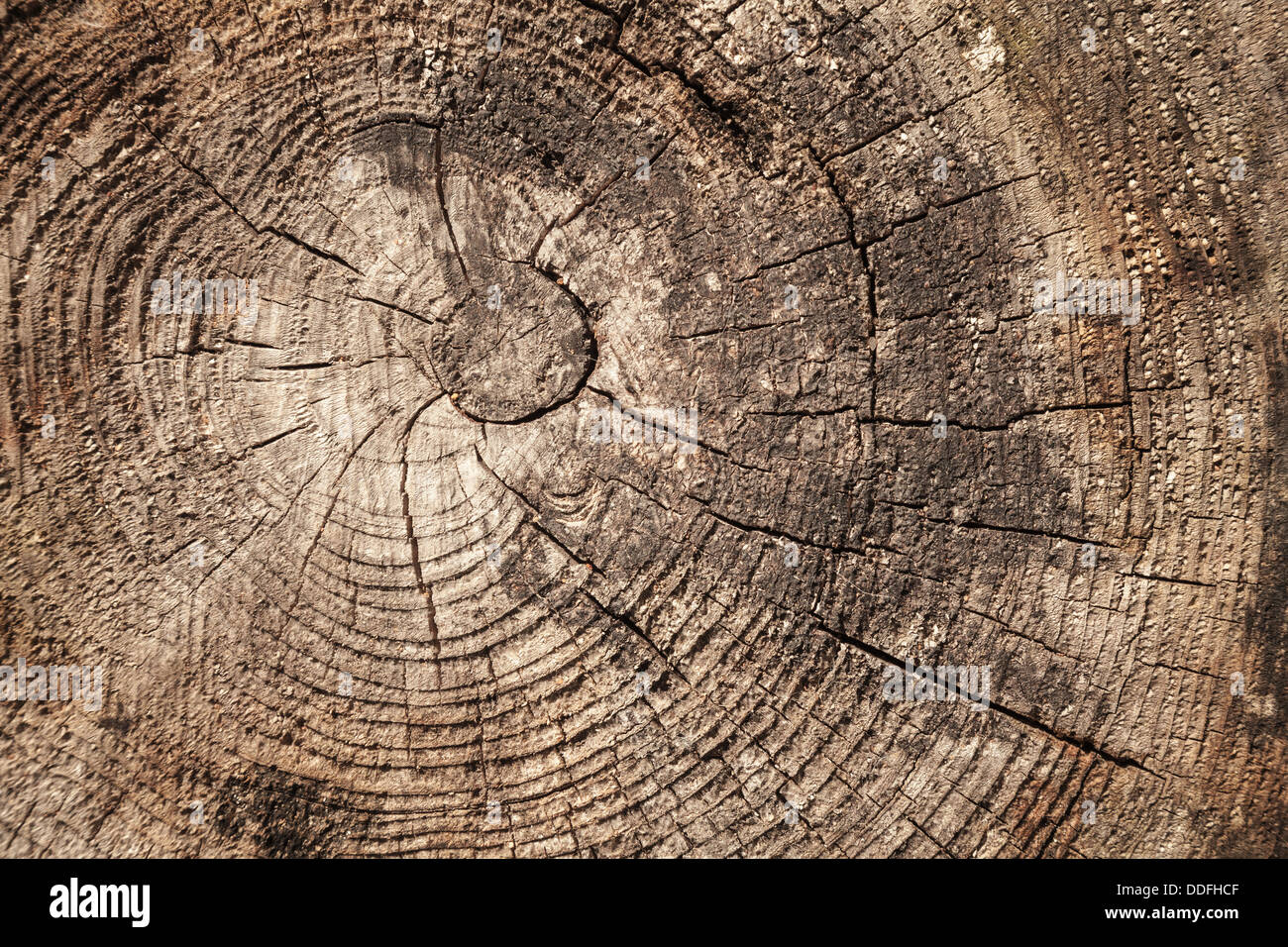 Old weathered wood section background texture Stock Photo - Alamy