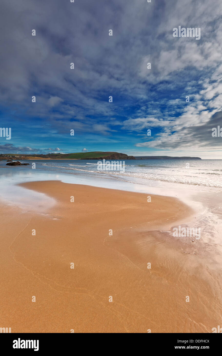 Devon island and wildlife hi-res stock photography and images - Alamy