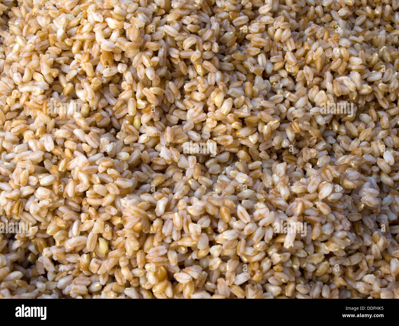 Farro hi-res stock photography and images - Alamy