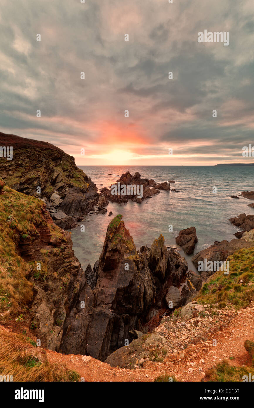 Devon island and wildlife hi-res stock photography and images - Alamy