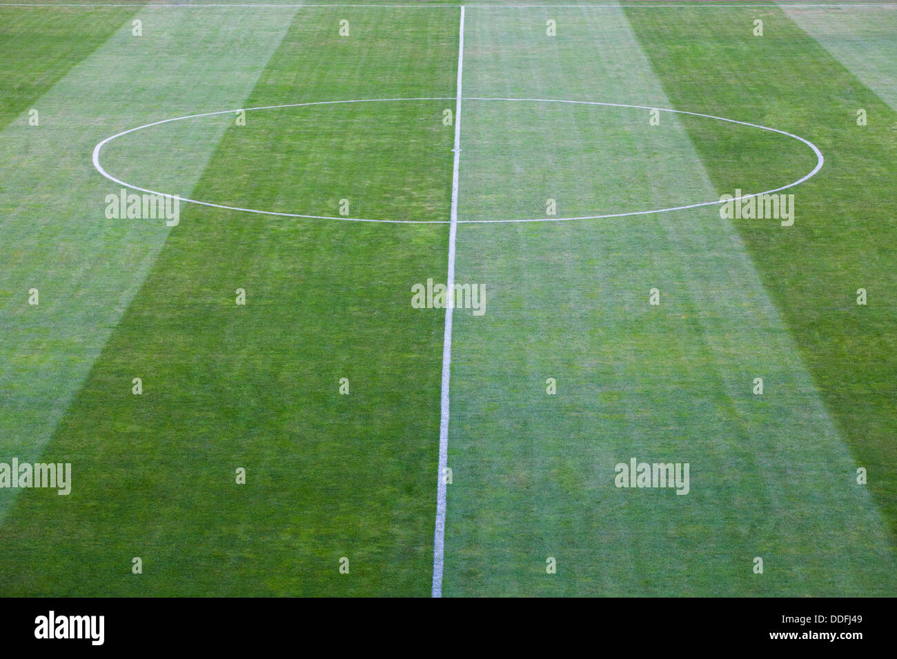 green natural grass of a Football soccer field Stock Photo - Alamy
