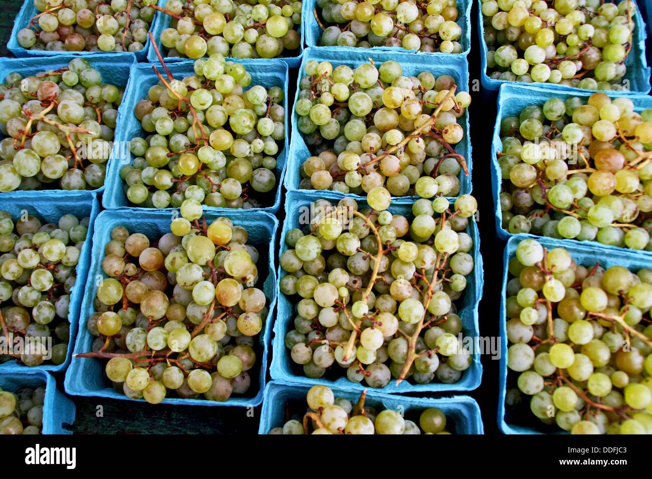 boxes of white grapes, New York, USA Stock Photo - Alamy