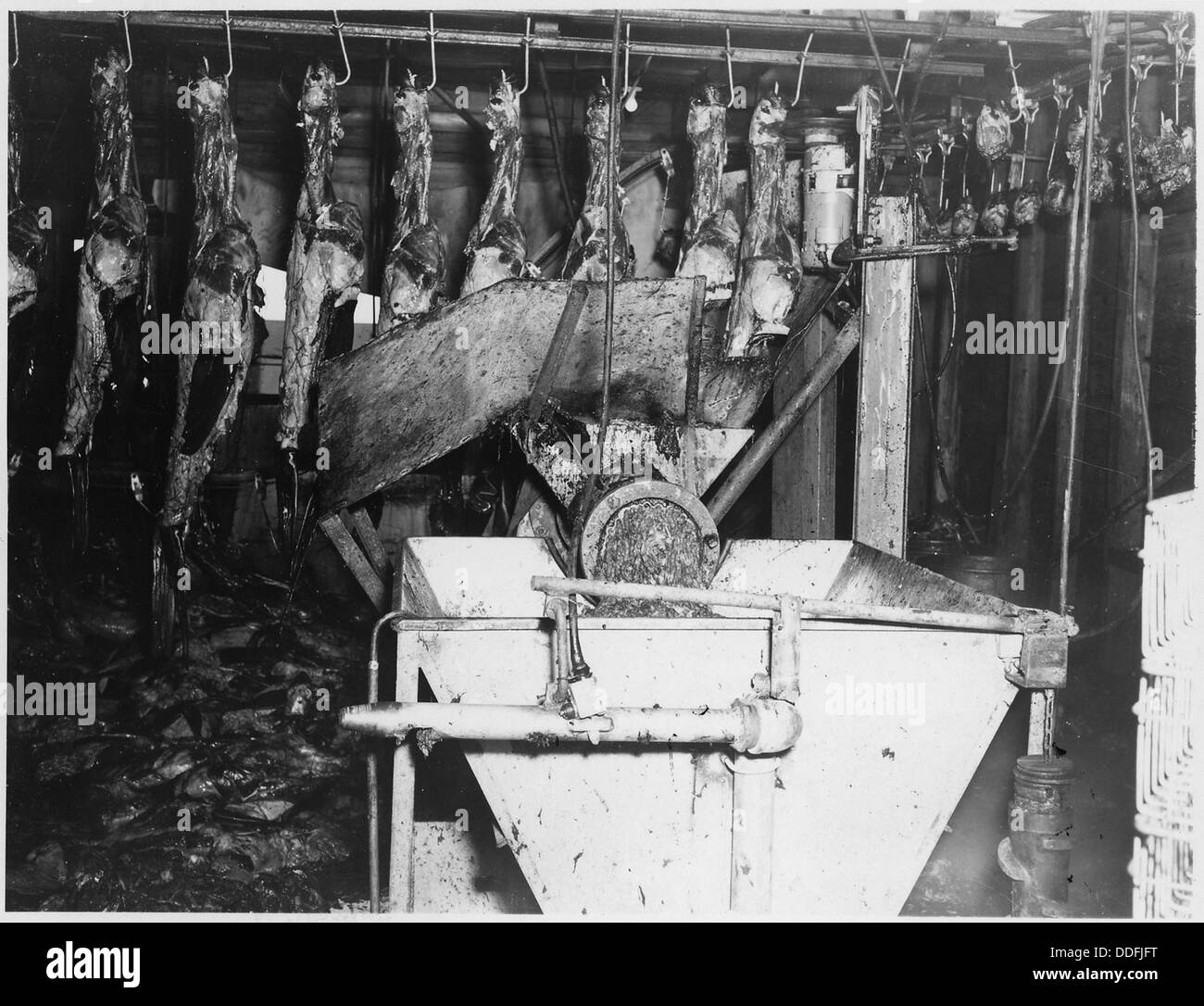 Sealburger hi-res stock photography and images - Alamy