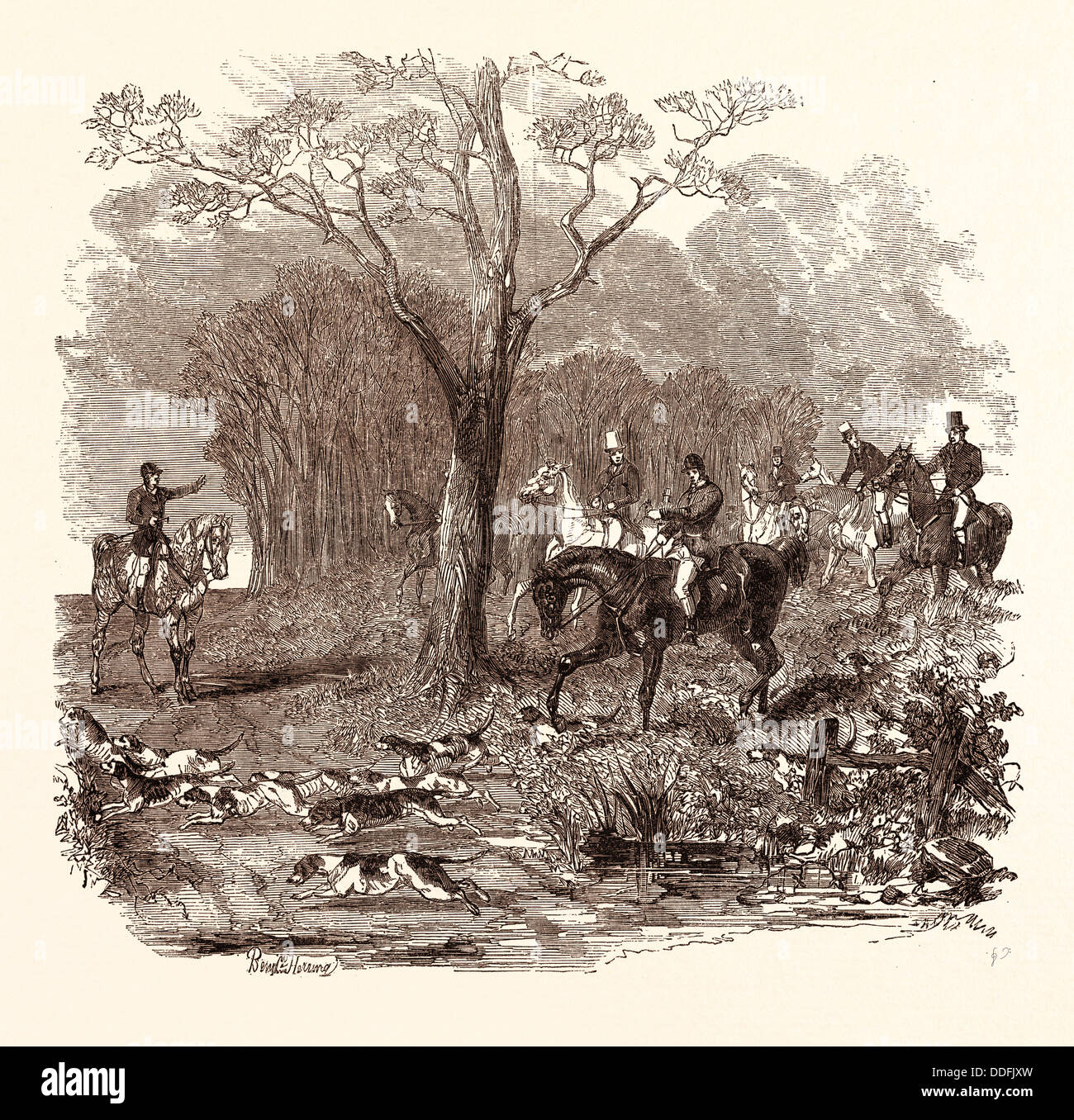 FOX HUNTING IN NOVEMBER, shotgun, hunting, wild, hunter, wildlife, bird ...