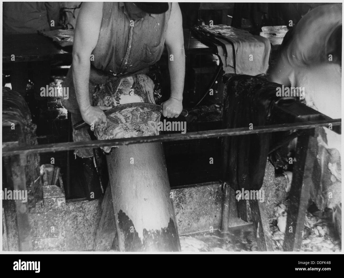 Sealing activities refer to the collection of seals for commercial ...