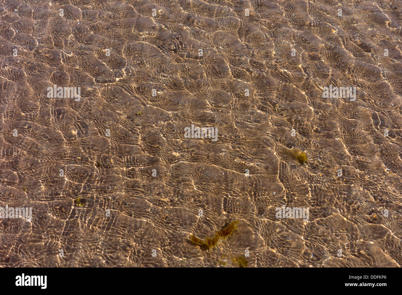 Shallow sandy sea with sunlit ripples hi-res stock photography and ...