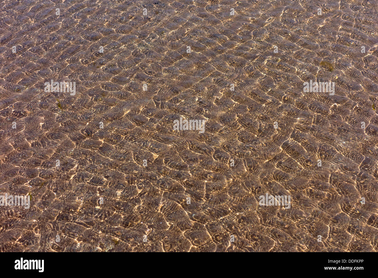 Shallow sea with sunlit ripples hi-res stock photography and images - Alamy