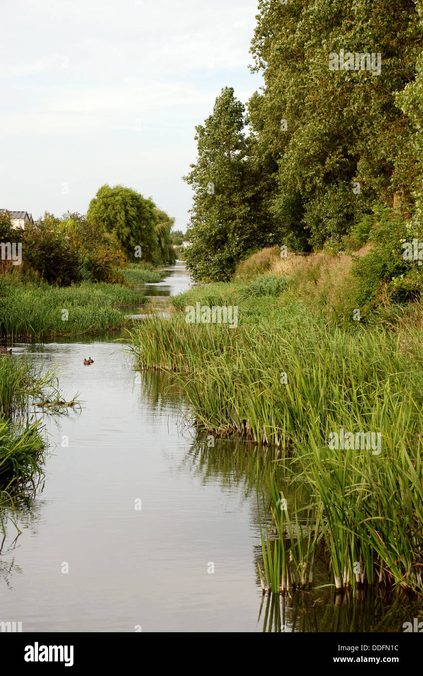 Stream Lined Stock Photos & Stream Lined Stock Images - Alamy