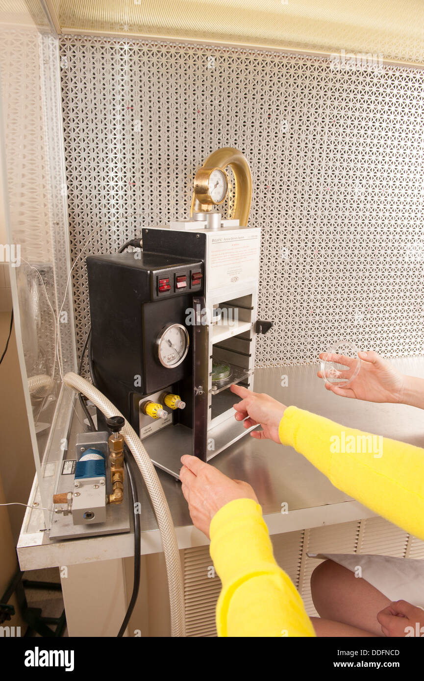 Gene gun creating GMO plants Stock Photo - Alamy