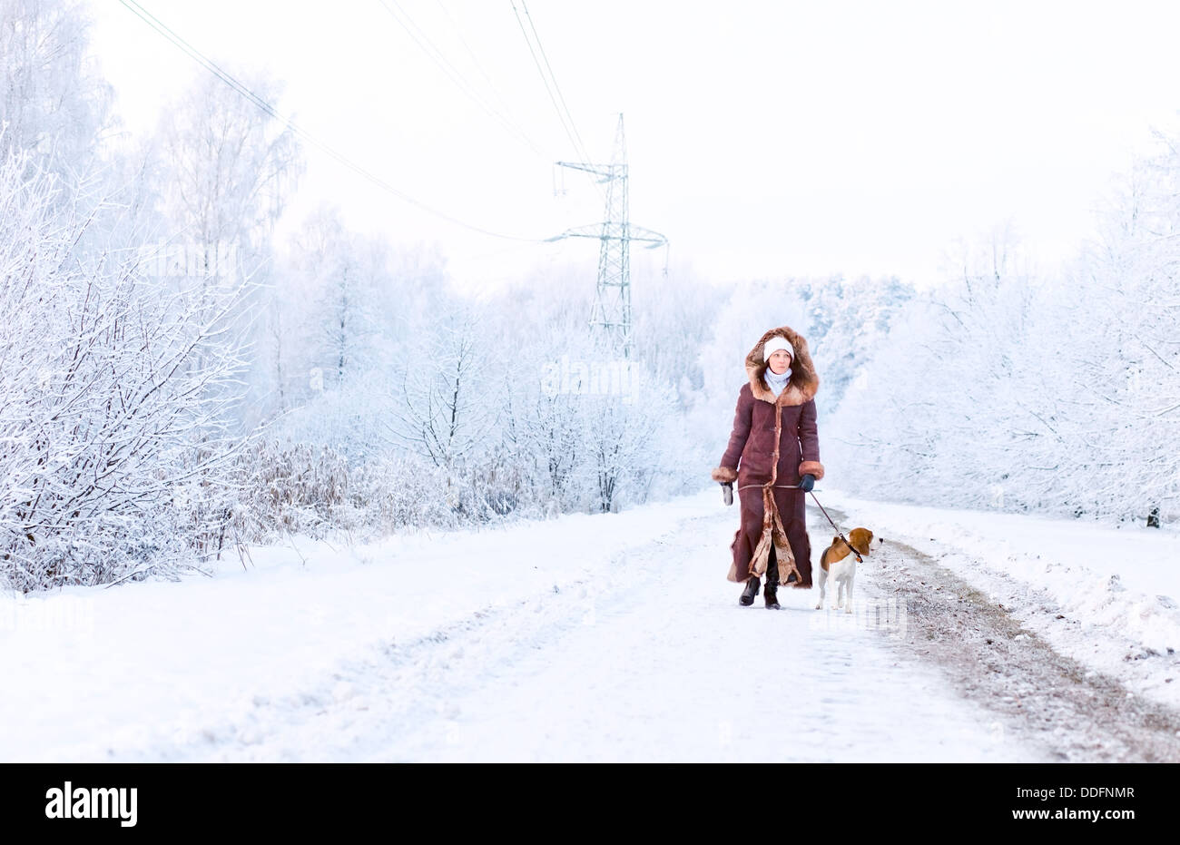 The woman in fur coat walk with dog Stock Photo - Alamy
