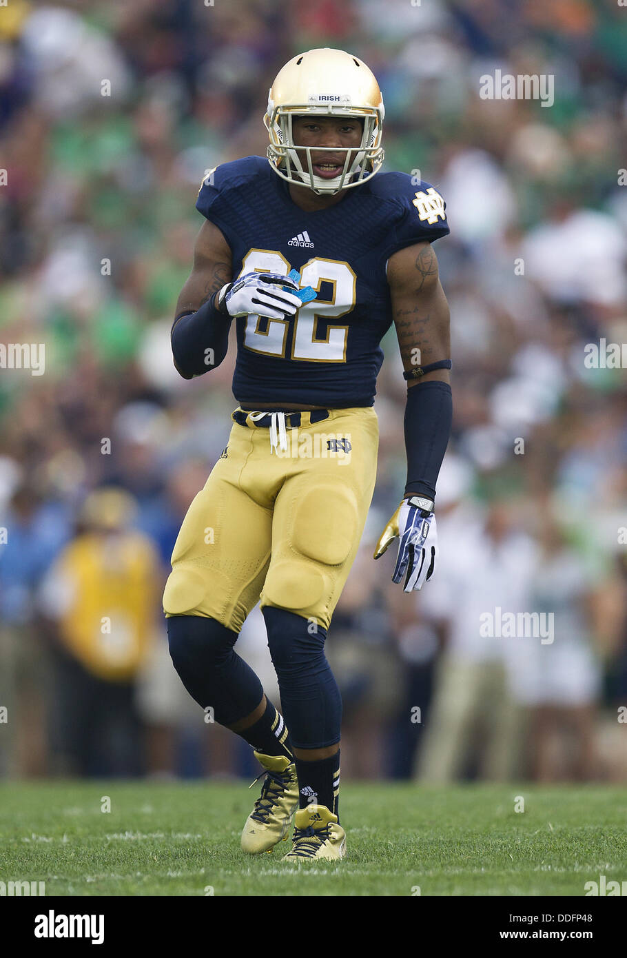 South Bend, Indiana, USA. 31st Aug, 2013. August 31, 2013: Notre Dame ...