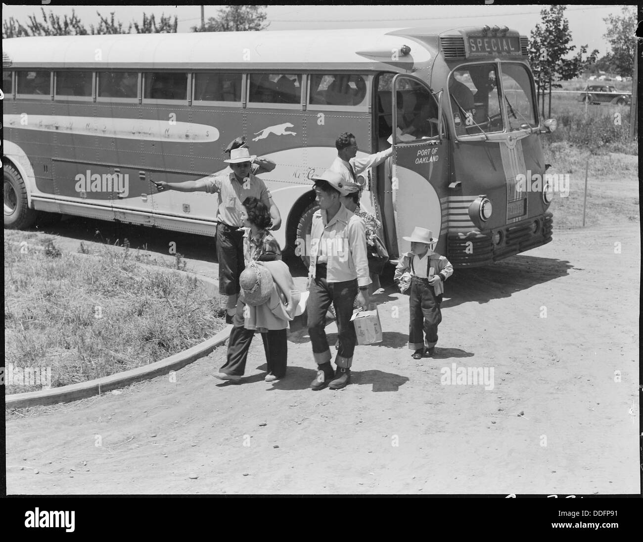 People of Japanese ancestry from the Lodi grape-producing district in ...