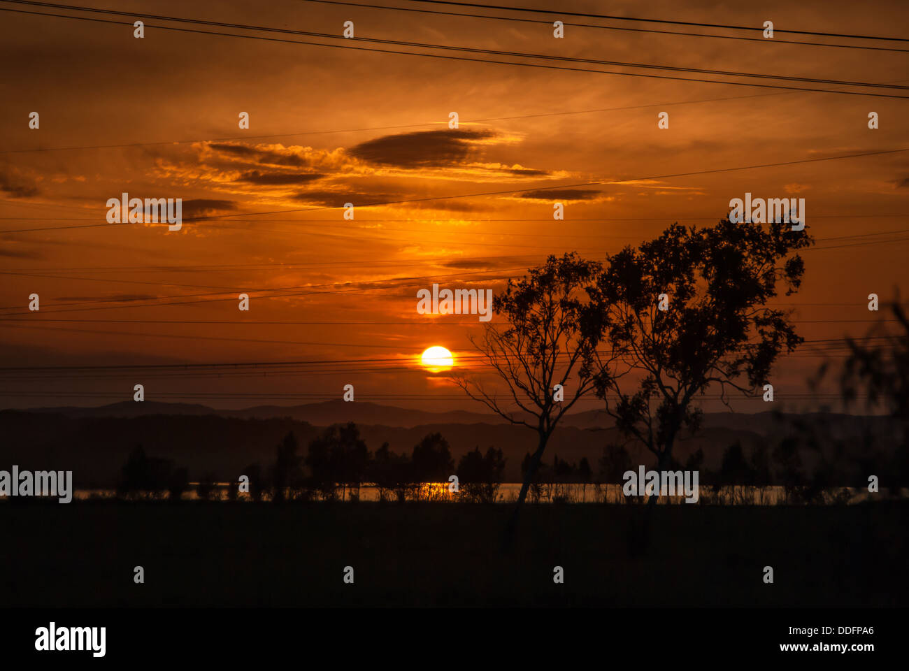 Branches silhouetted against sun hi-res stock photography and images ...
