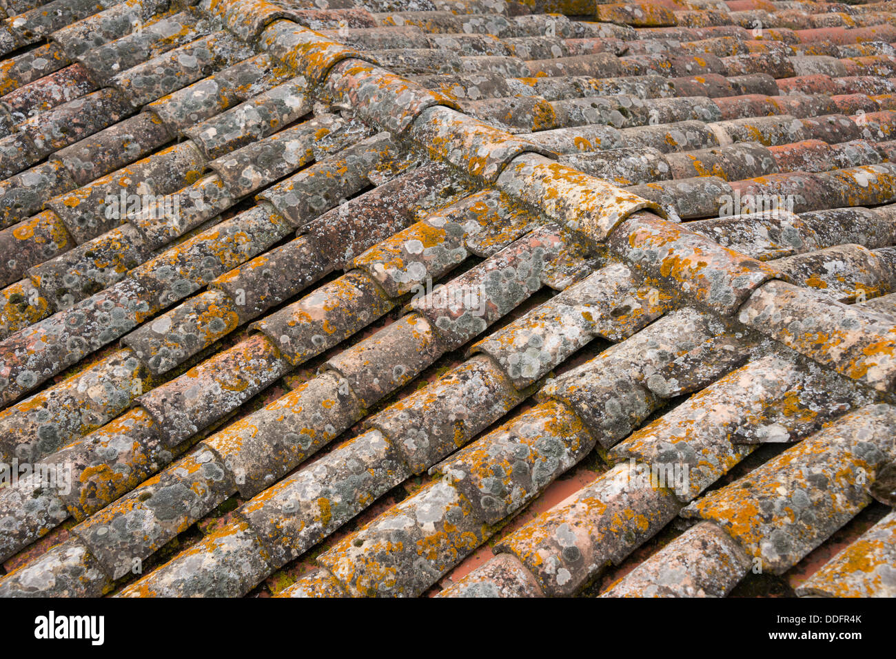 Tile roof in the medieval castle of Carcasonne in the Languedoc area, a ...