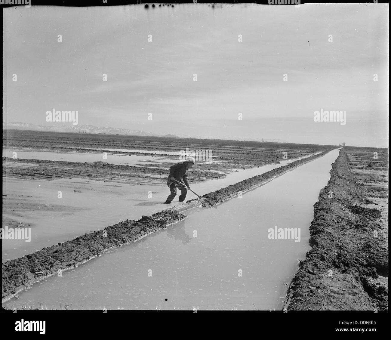 An irrigation scene on a farm at the Topaz War Relocation Center in ...
