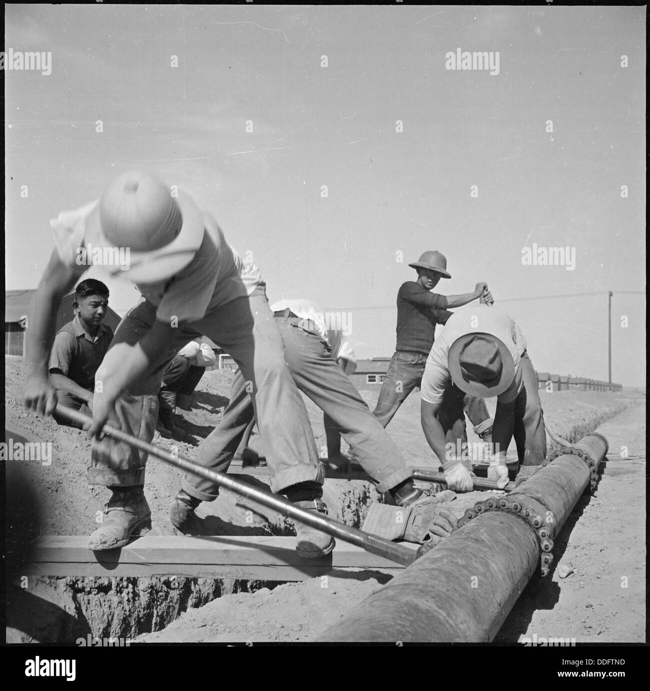 A crew of Nisei volunteers works to install water mains at the Topaz ...