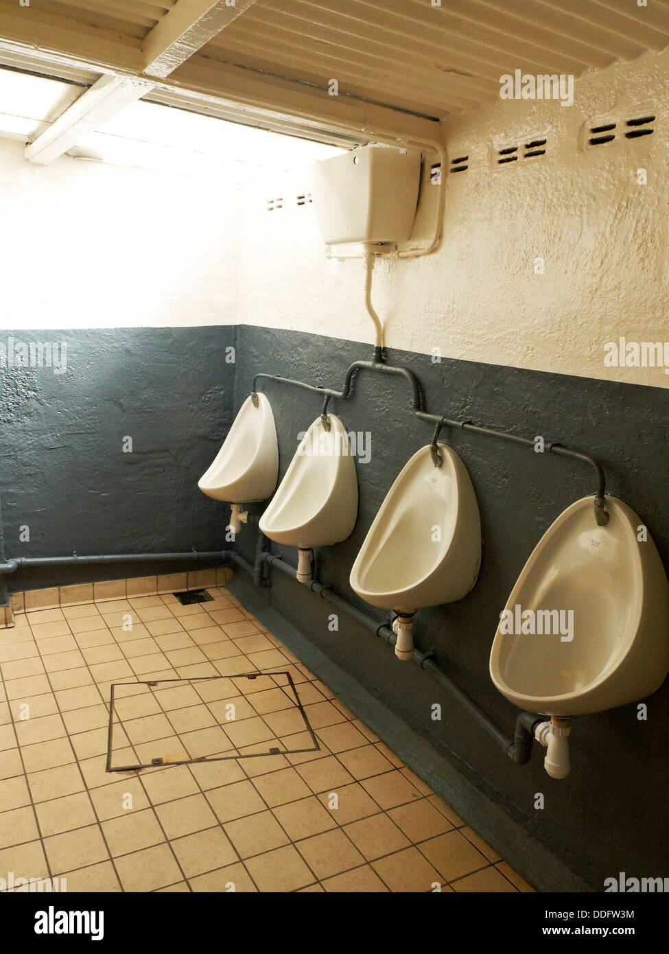 Men`s toilet at Shell Island campsite North Wales UK Stock Photo - Alamy