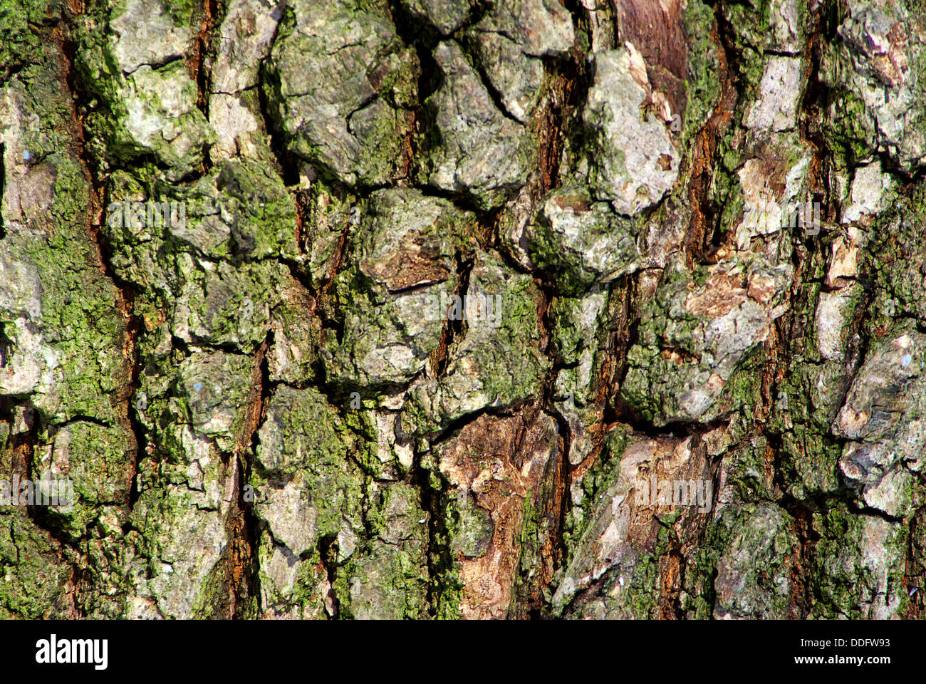 Deep furrow hi-res stock photography and images - Alamy