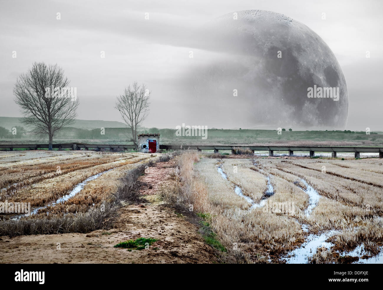 Full moon dreamscape Stock Photo - Alamy