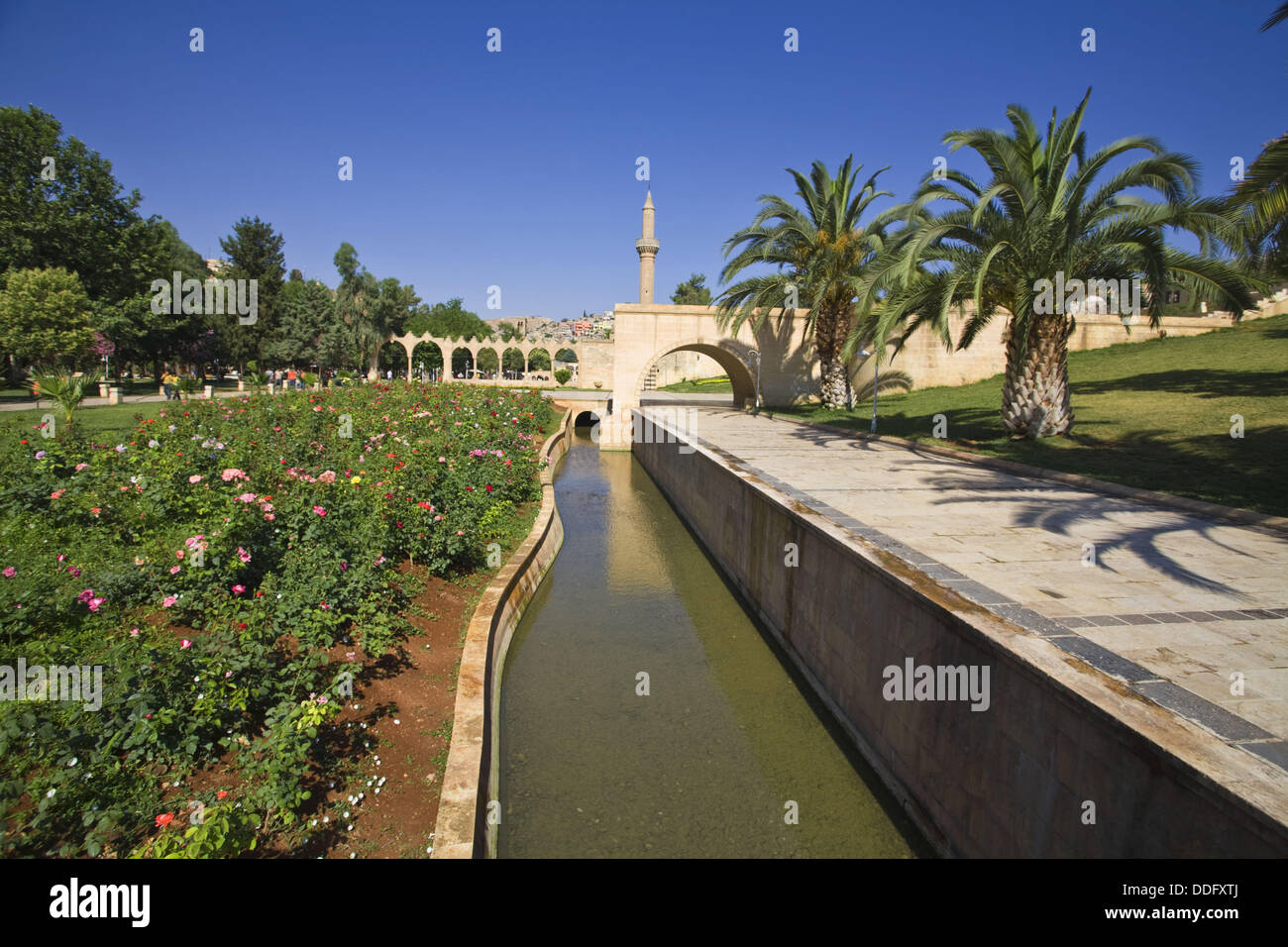 Gol pond hi-res stock photography and images - Alamy