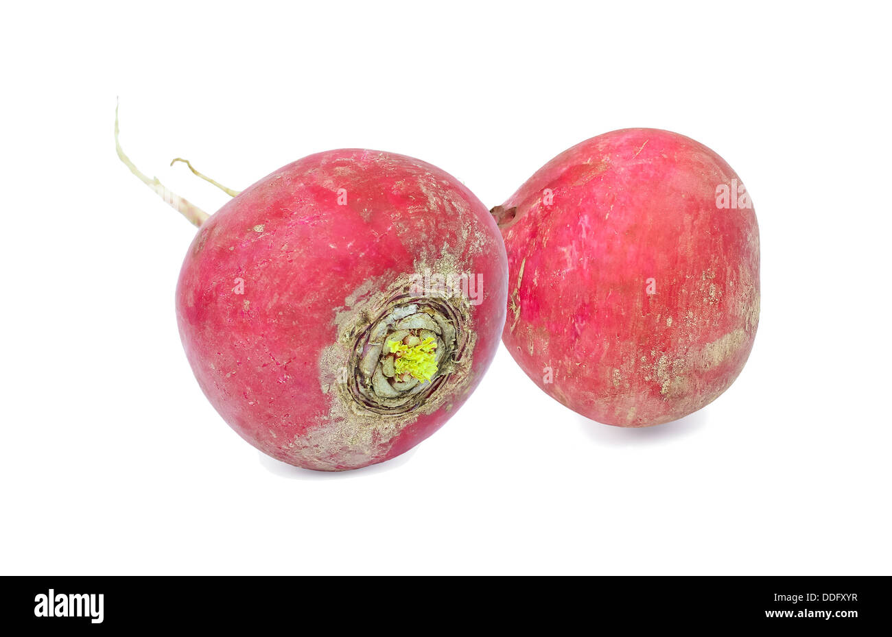 Two large radishes on a white background Stock Photo - Alamy
