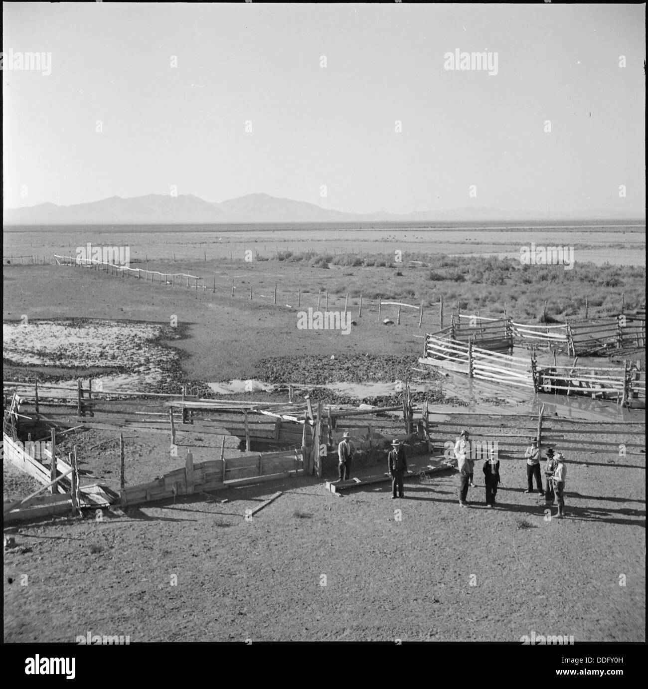 Topaz relocation hi-res stock photography and images - Alamy