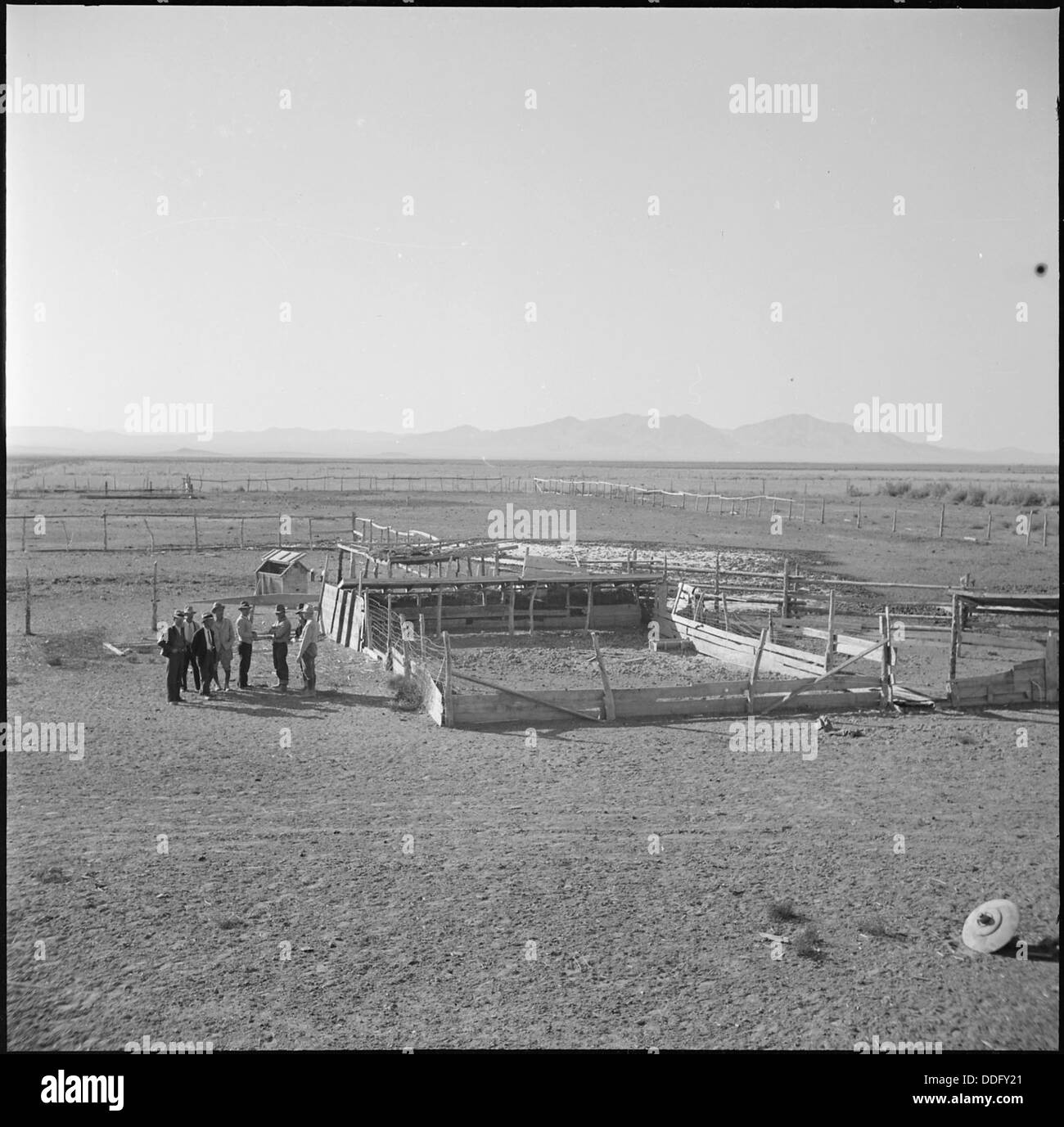 Topaz relocation hi-res stock photography and images - Alamy